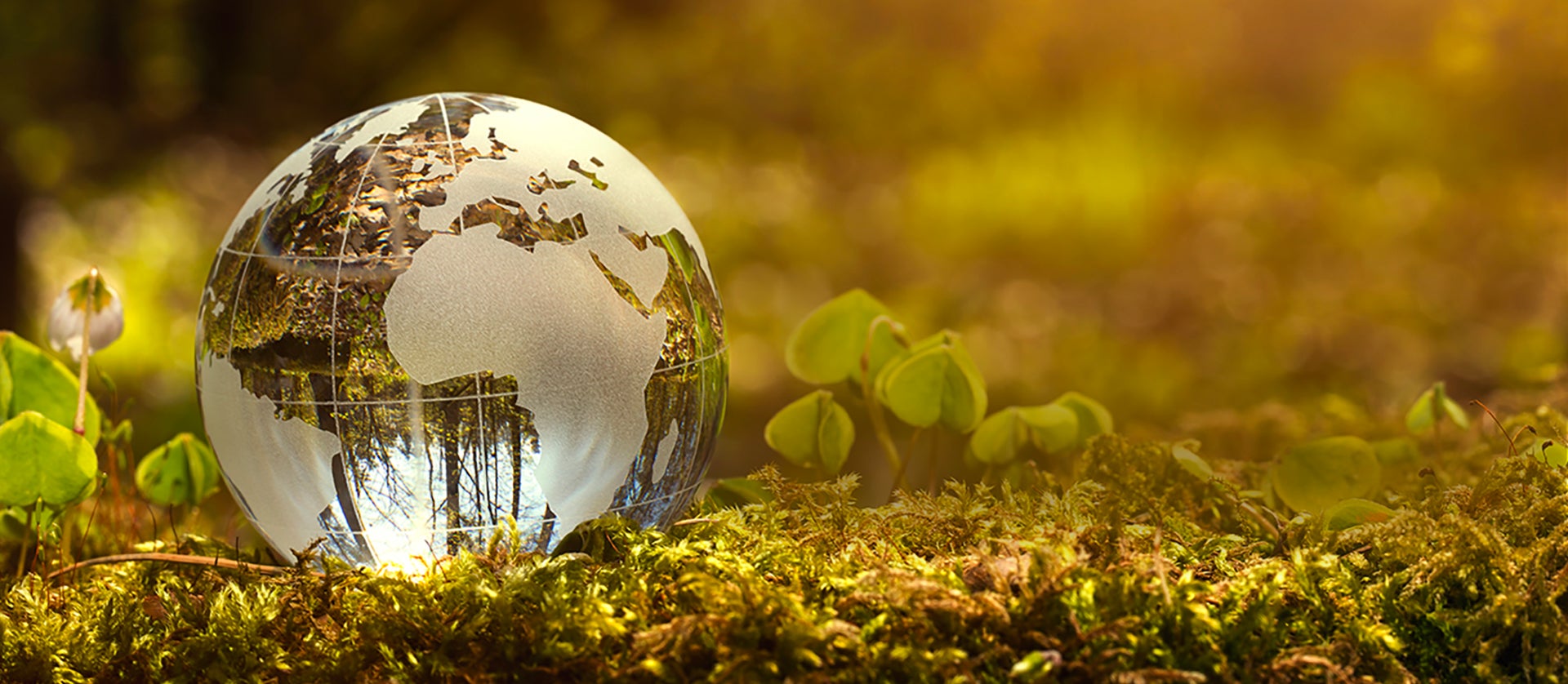 NUS Flagship Green Energy Program - NUS Flagship Green Energy Program